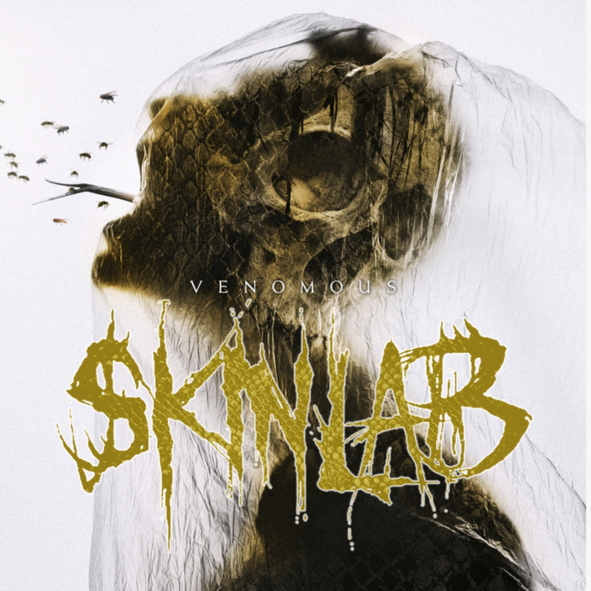 SKINLAB Releases New Video For Single "Amerikill" - Global AZ Media